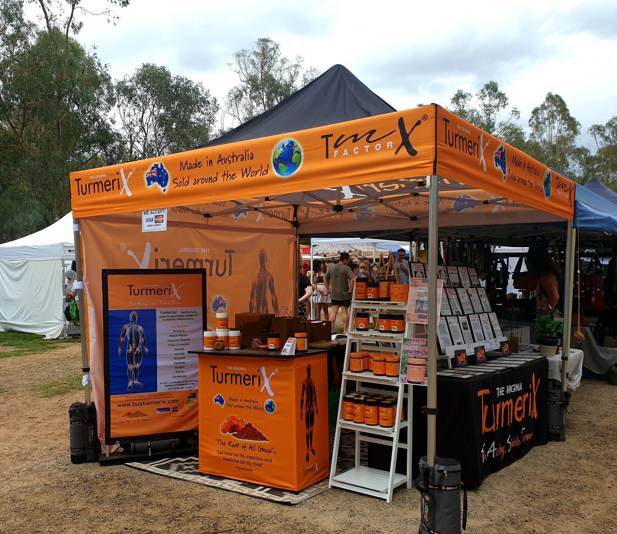 About TurmeriX – buyturmerix